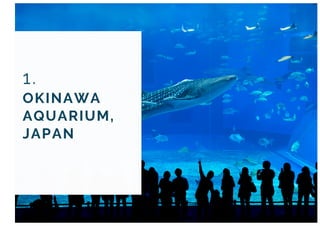 Case Studies Aquarium.pdf