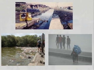 Case studies in Disaster Management (Four) | PPTX