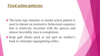 Case studies of animal welfare to elaborate the | PPTX