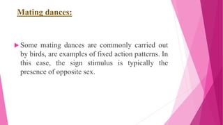 Case studies of animal welfare to elaborate the | PPTX