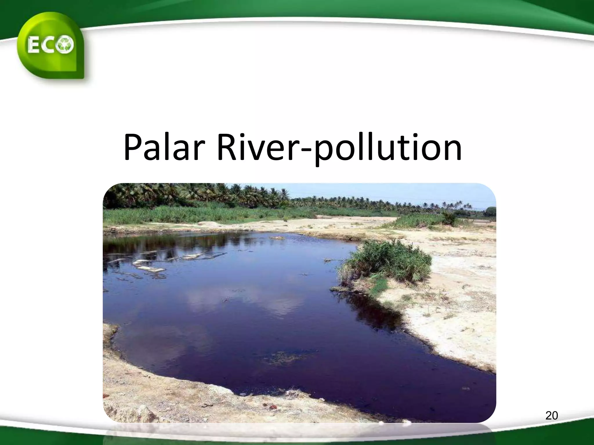 Case studies of pollution | PPTX