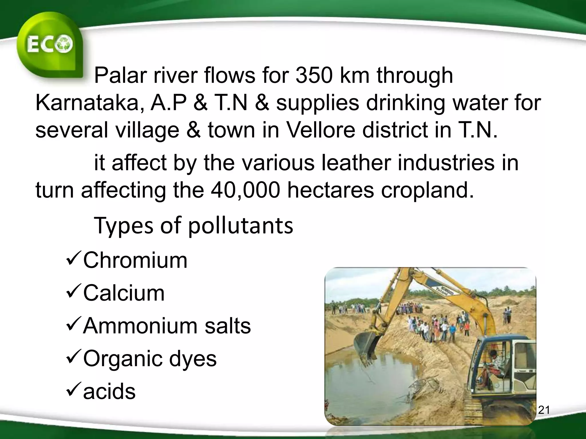 Case studies of pollution | PPTX