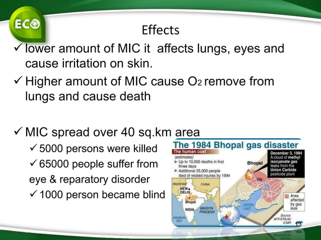 Case studies of pollution | PPTX