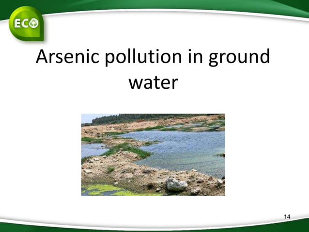 Case studies of pollution | PPTX