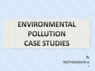 Case studies of pollution | PPTX