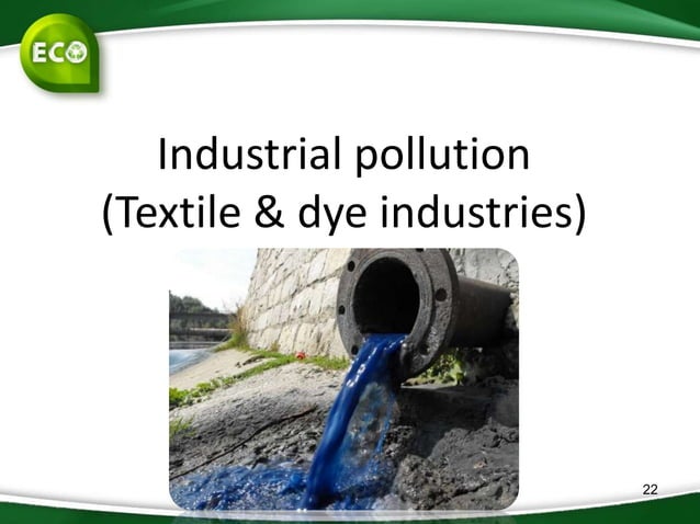 Case studies of pollution | PPTX