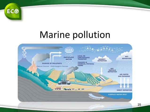 Case studies of pollution | PPTX