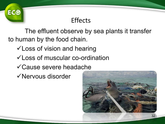 Case studies of pollution | PPTX