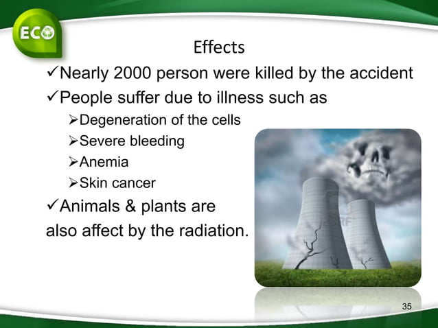 Case studies of pollution | PPTX
