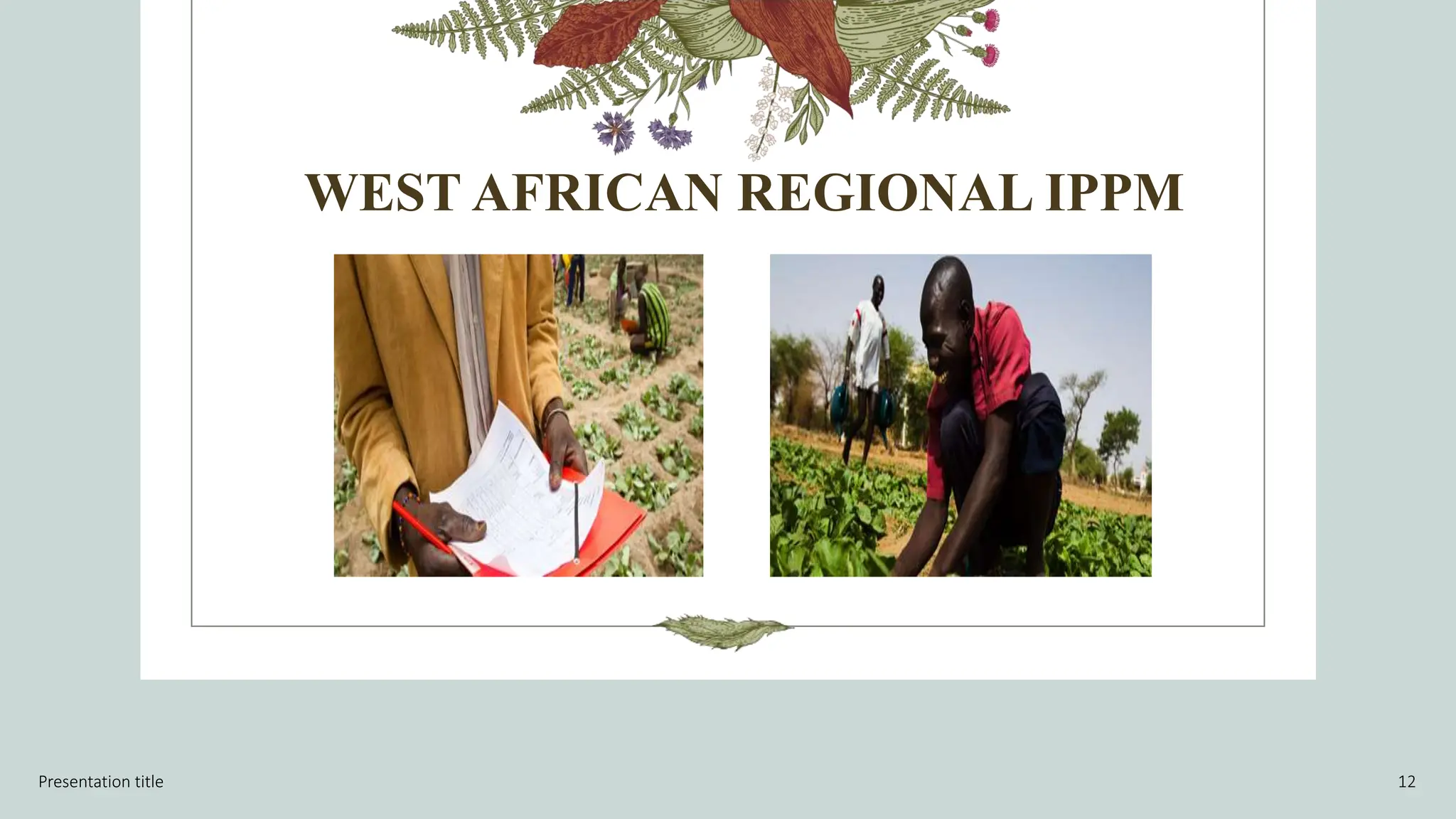 Case studies of successful IPM programmes- International level.pptx