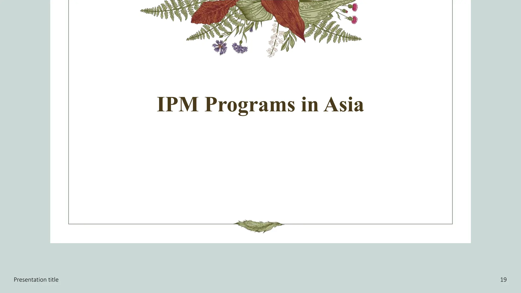 Case studies of successful IPM programmes- International level.pptx