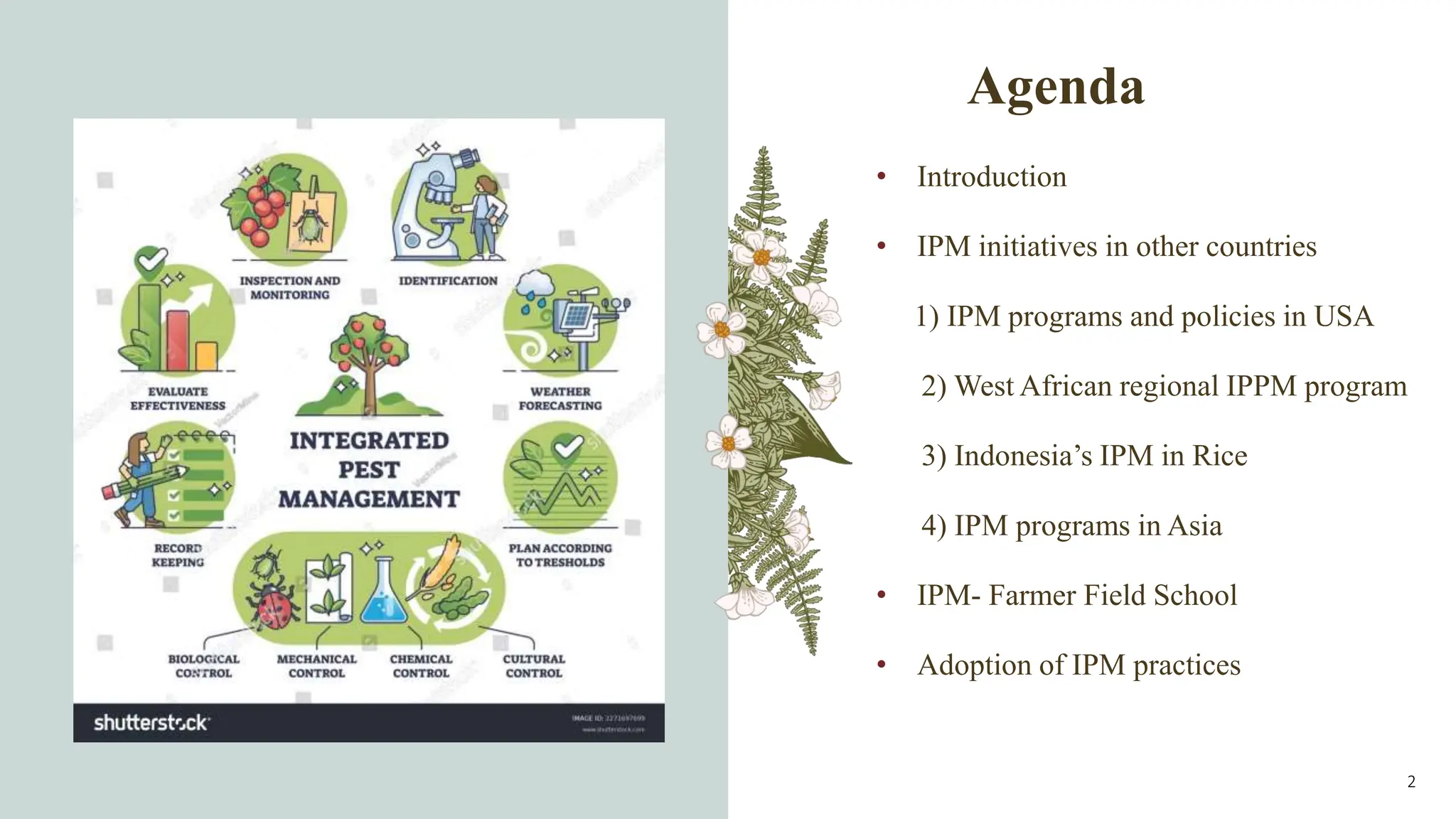 Case studies of successful IPM programmes- International level.pptx