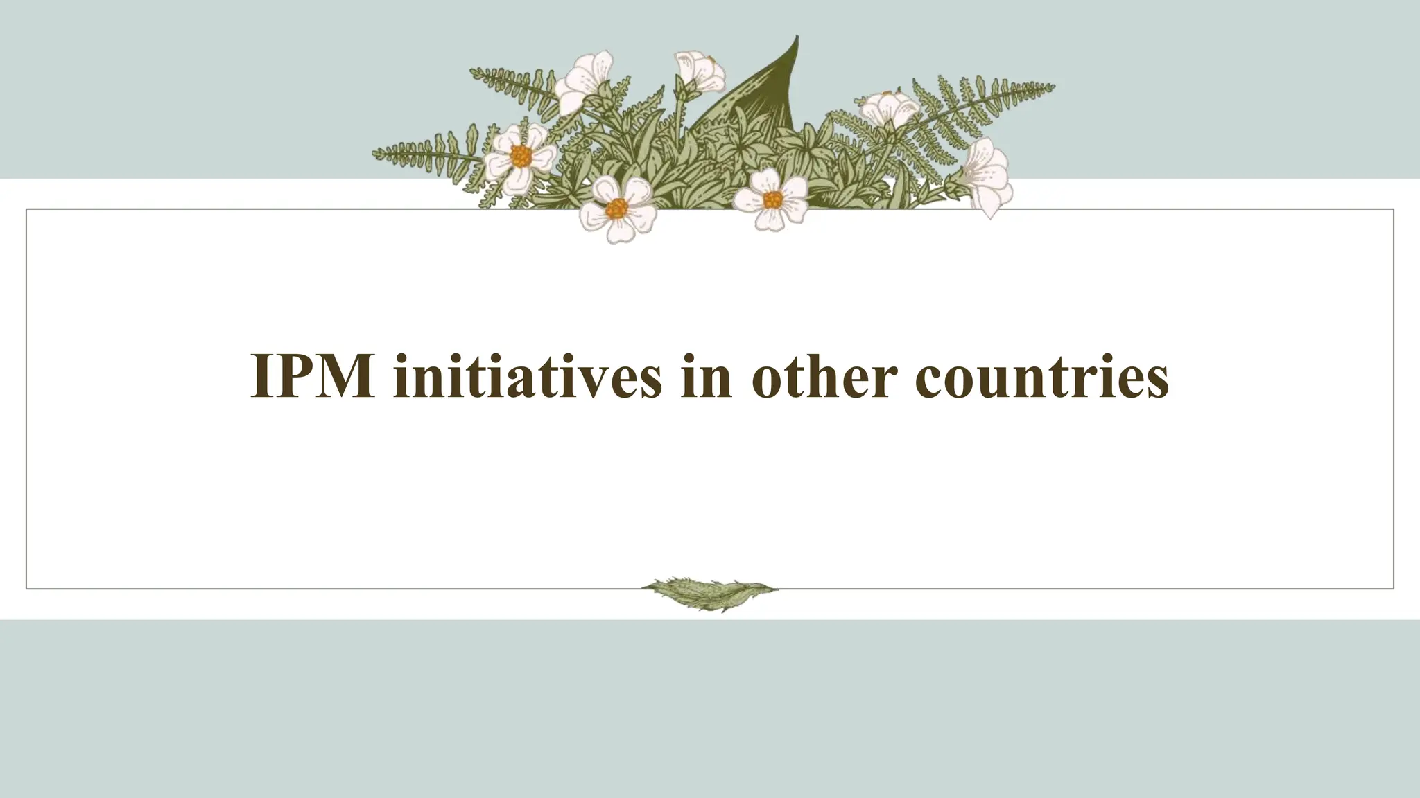 Case studies of successful IPM programmes- International level.pptx