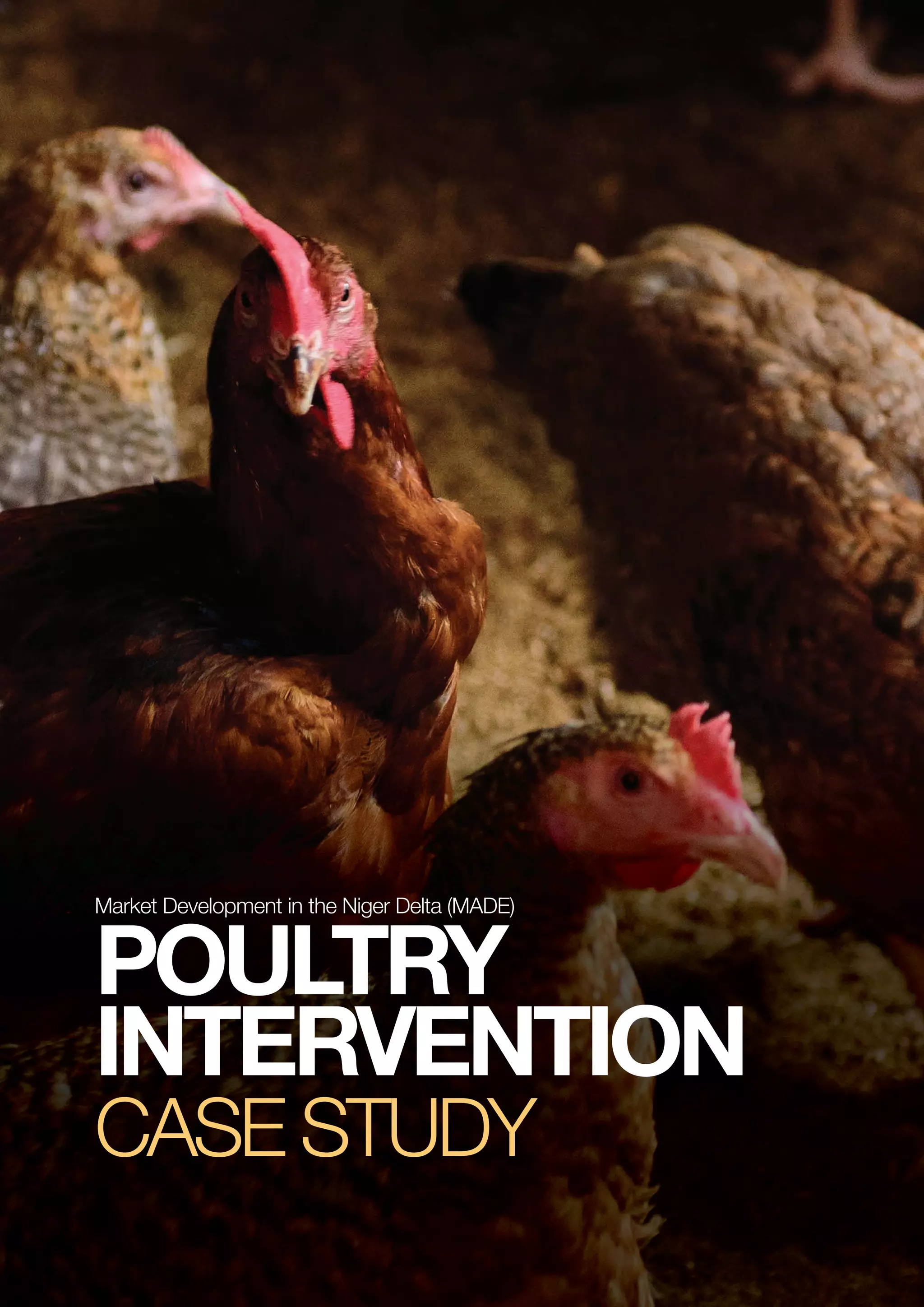 Case studies poultry (1) final design | PDF