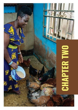 Case studies poultry (1) final design | PDF