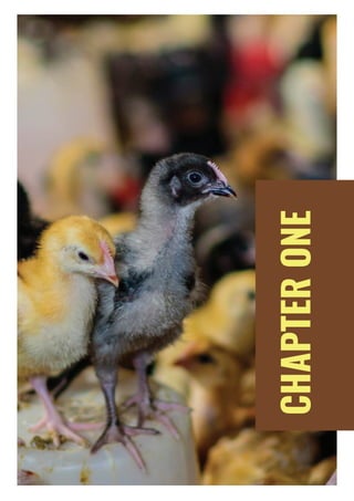 Case studies poultry (1) final design | PDF