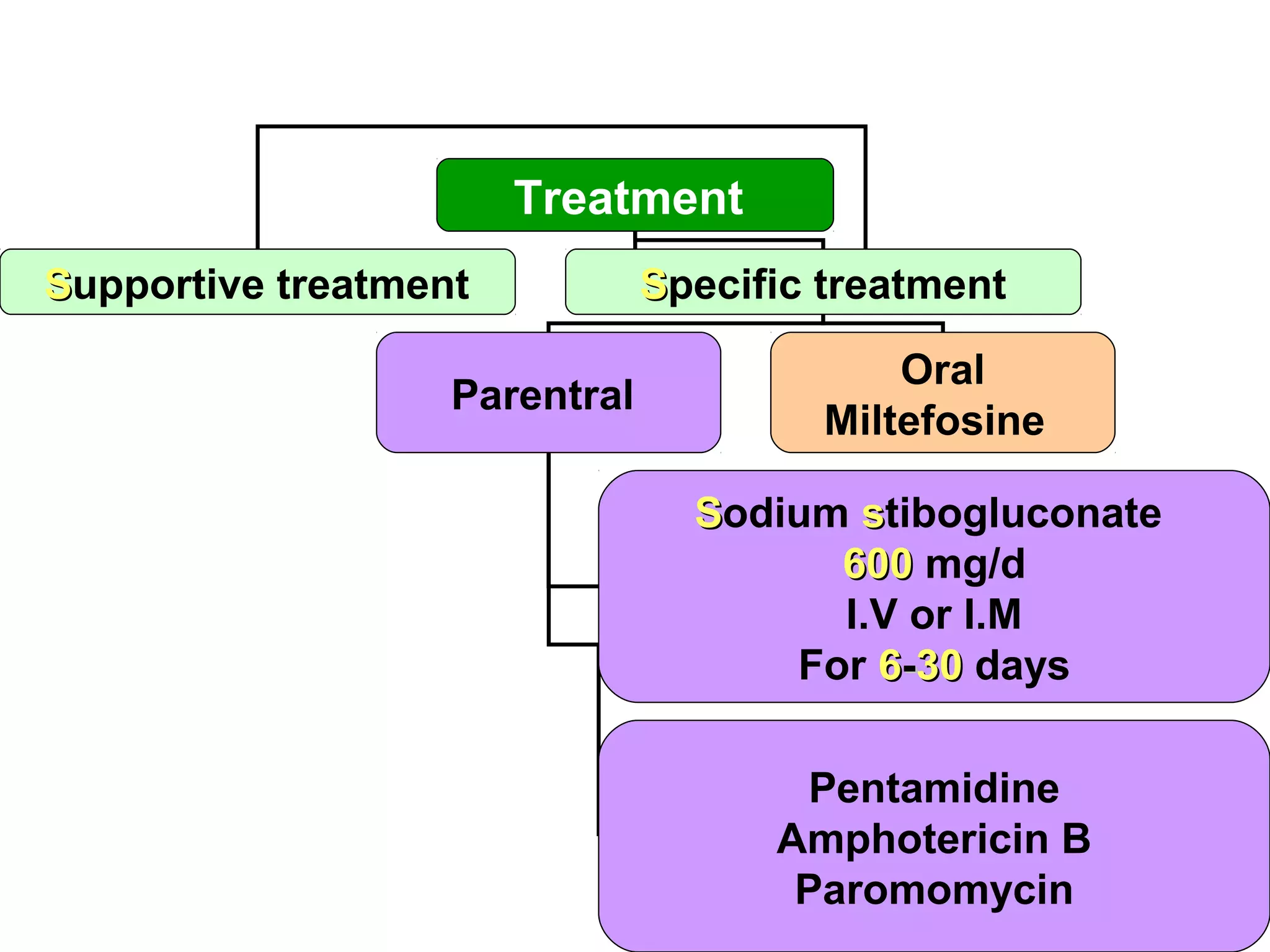 Parasitological case study | PPT