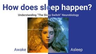 Neurobiology of sleep onset: the Sleep-wake switch | PDF
