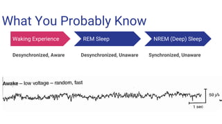 Neurobiology of sleep onset: the Sleep-wake switch | PDF