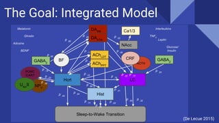 Neurobiology of sleep onset: the Sleep-wake switch | PDF