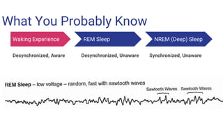 Neurobiology of sleep onset: the Sleep-wake switch | PDF