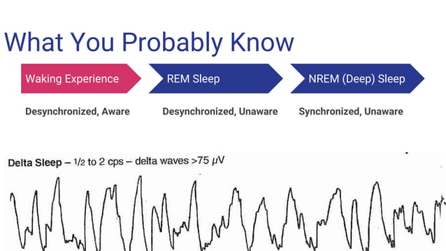 Neurobiology of sleep onset: the Sleep-wake switch | PPT