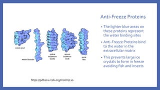 Glycerol and AFP Case study | PPTX
