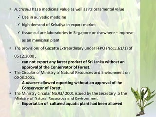 Kekatiya case, bio piracy of Sri Lanka’s biodiversity | PPT