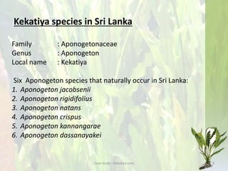Kekatiya case, bio piracy of Sri Lanka’s biodiversity | PPT