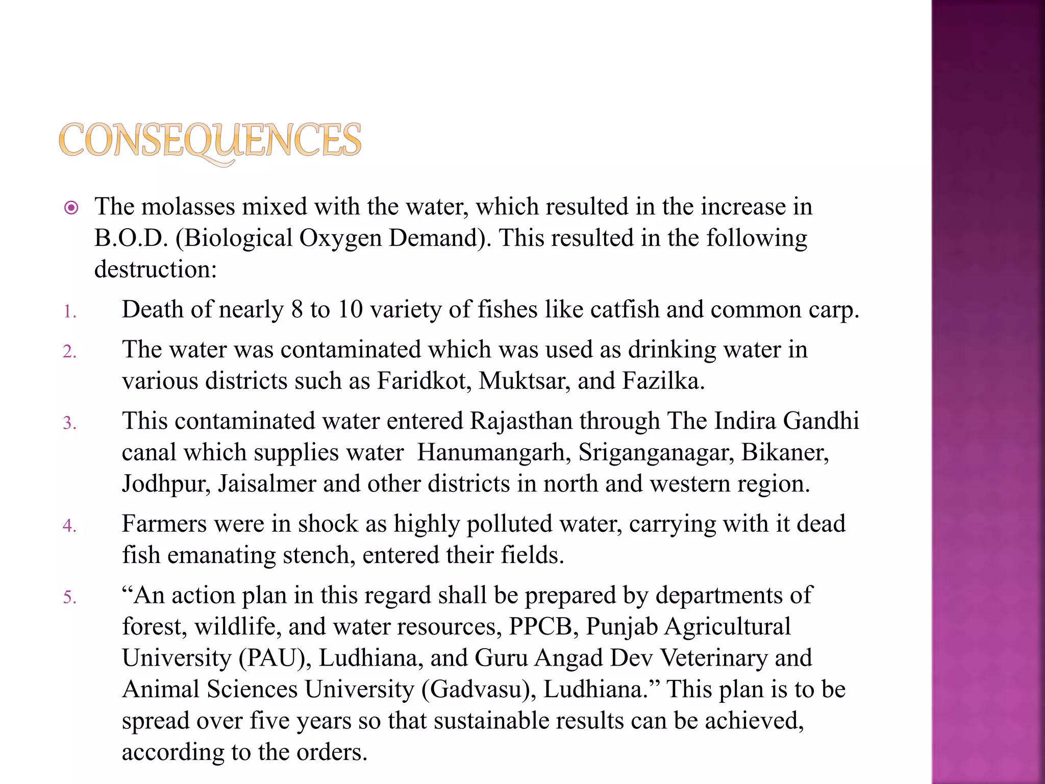 Case study on molasses spill in Punjab | PPTX | Commodities | Economy