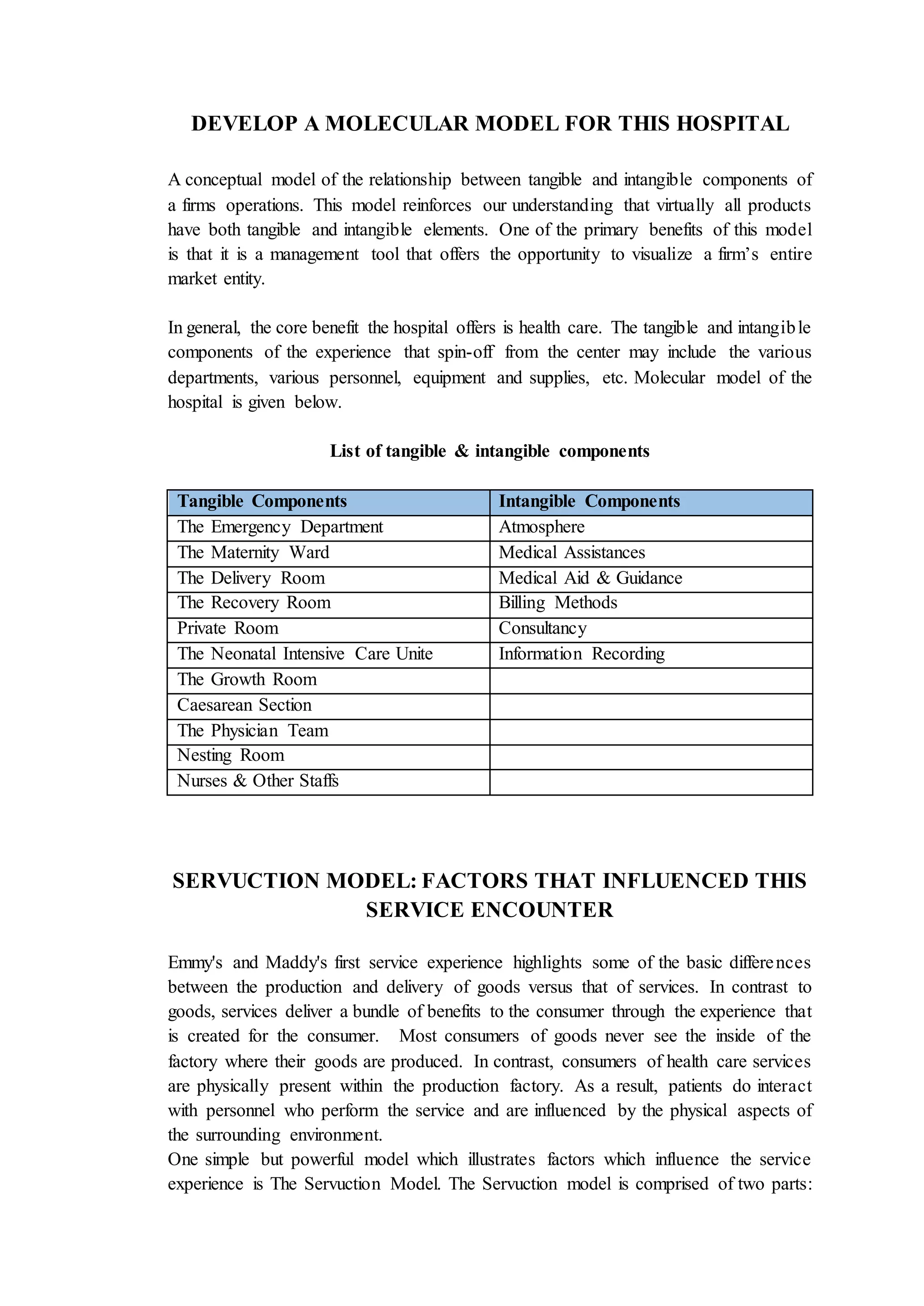 EMMY'S & MADDY'S FIRST SERVICE ENCOUNTER | DOCX