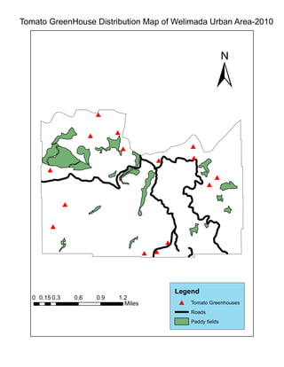 Case study-Tomato Greenhouse Distribution in Welimada | PDF
