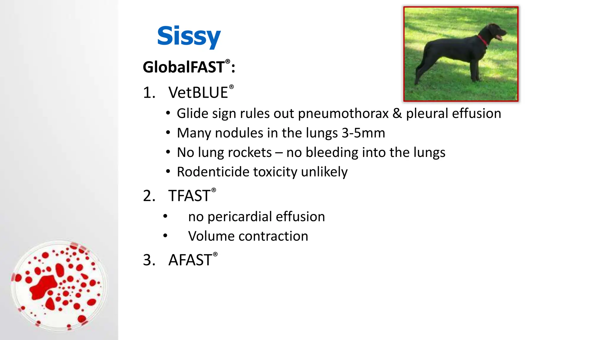 Nice veterinary medicine Case studies.ppt