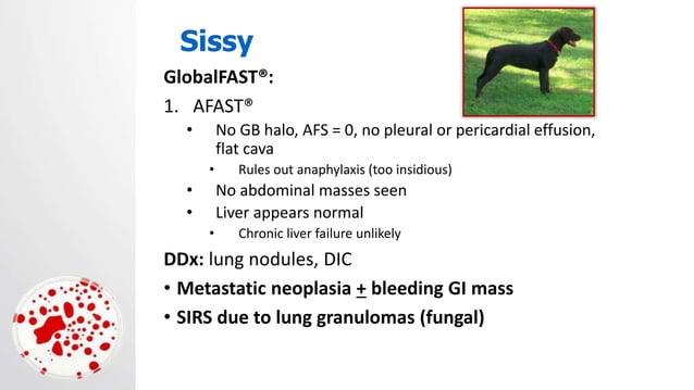 Nice veterinary medicine Case studies.ppt | Blood Disorders | Diseases ...
