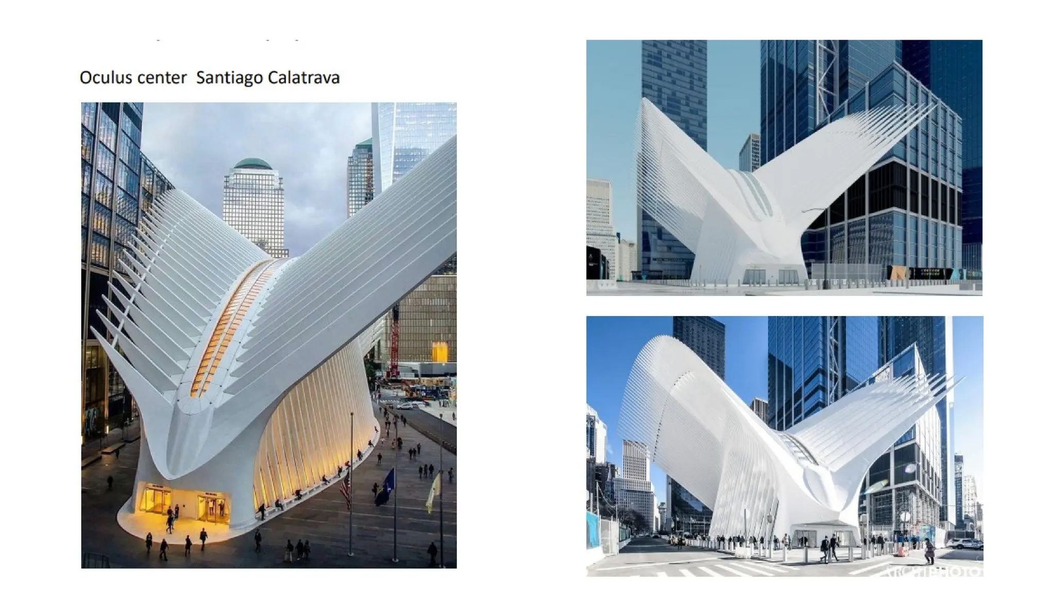public plaza Case Study for urban design .pptx