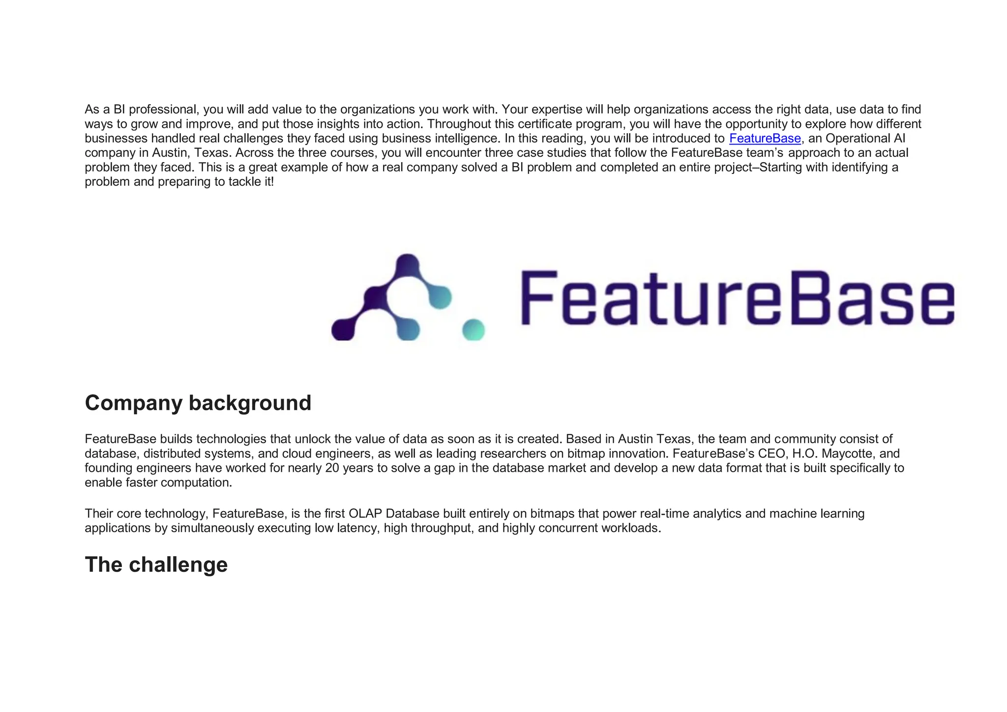 Example for a Business intelligence Case study.pdf