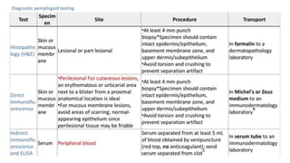 Case Study of syphilis in patient comes to | PPTX