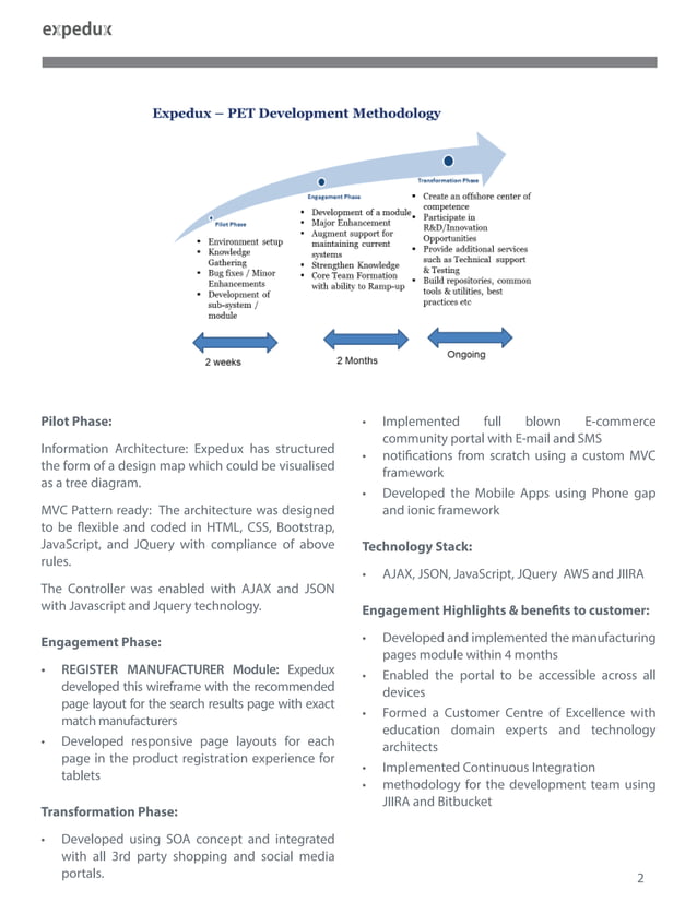 Ajax + Angular JS development services | PDF