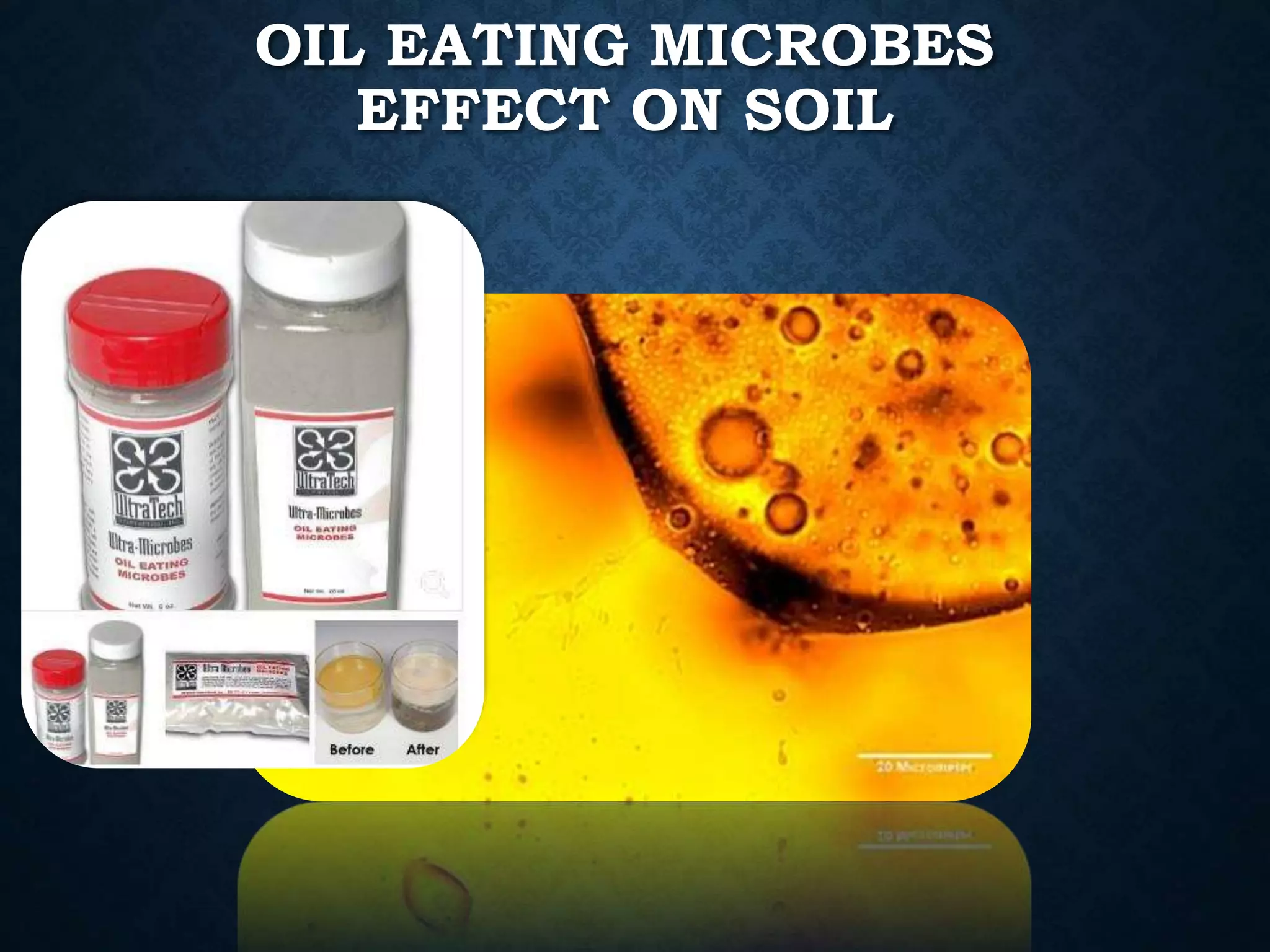 Case study - Bio-remediation Project | PPSX