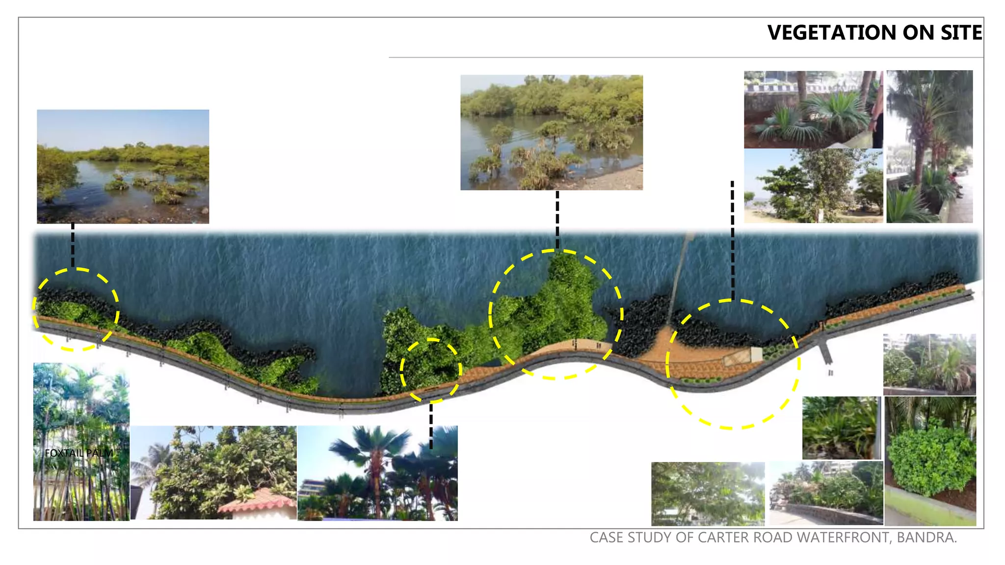 CARTER ROAD WATERFRONT DEVELOPMENT | PPTX