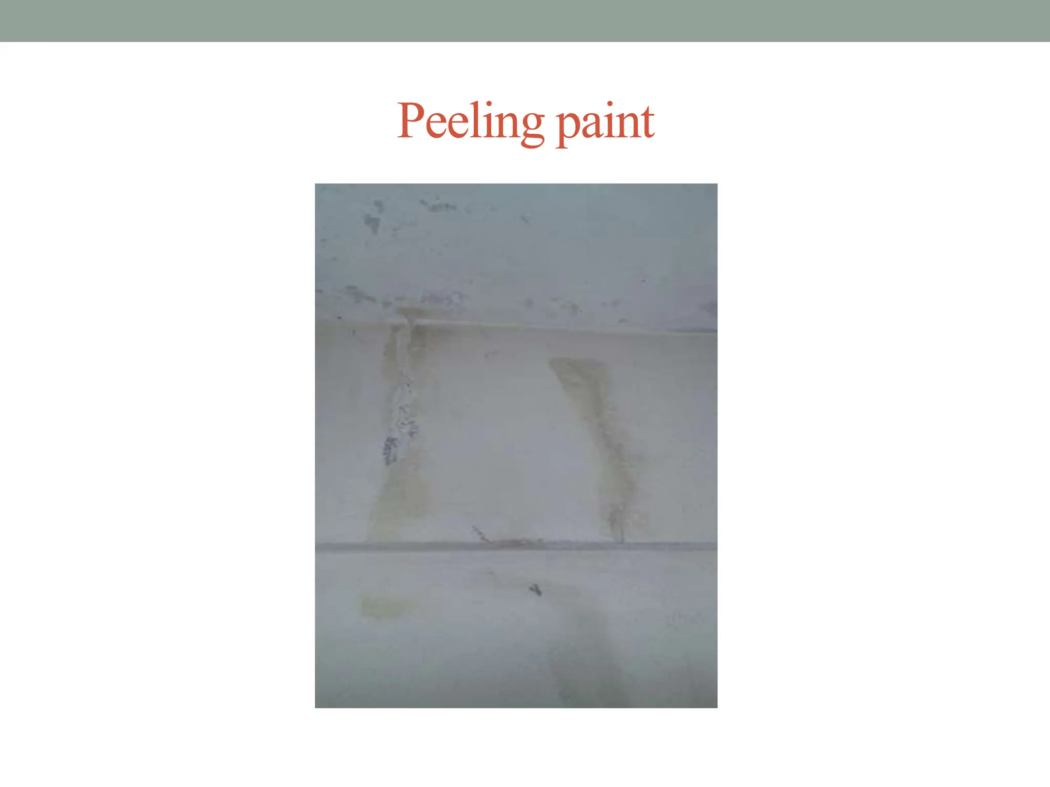 Case Study - Defects at building .pptx