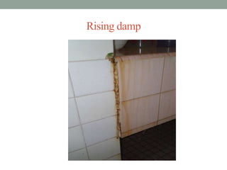 Case Study - Defects at building .pptx