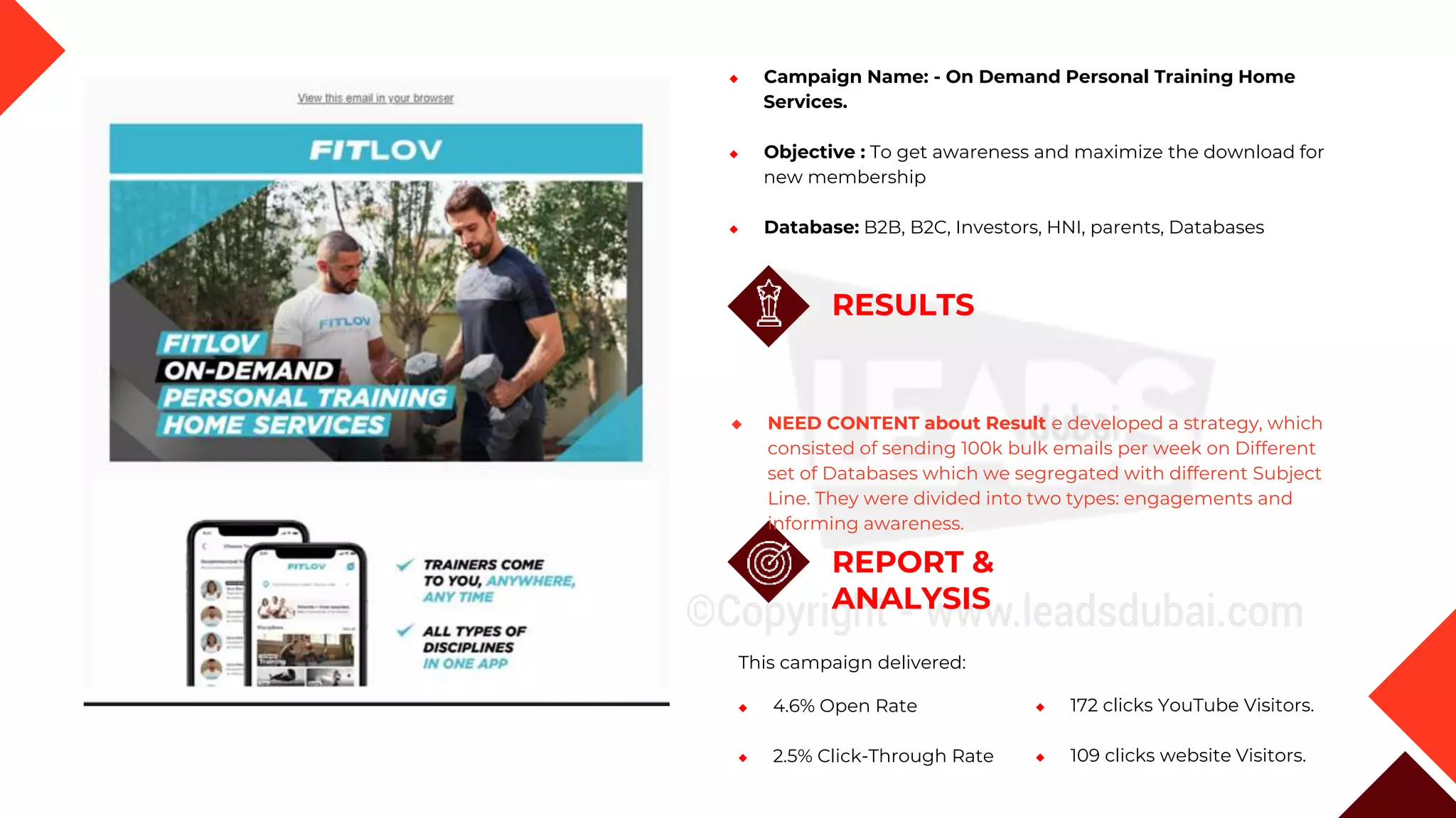 Email Marketing Case Study | PPT