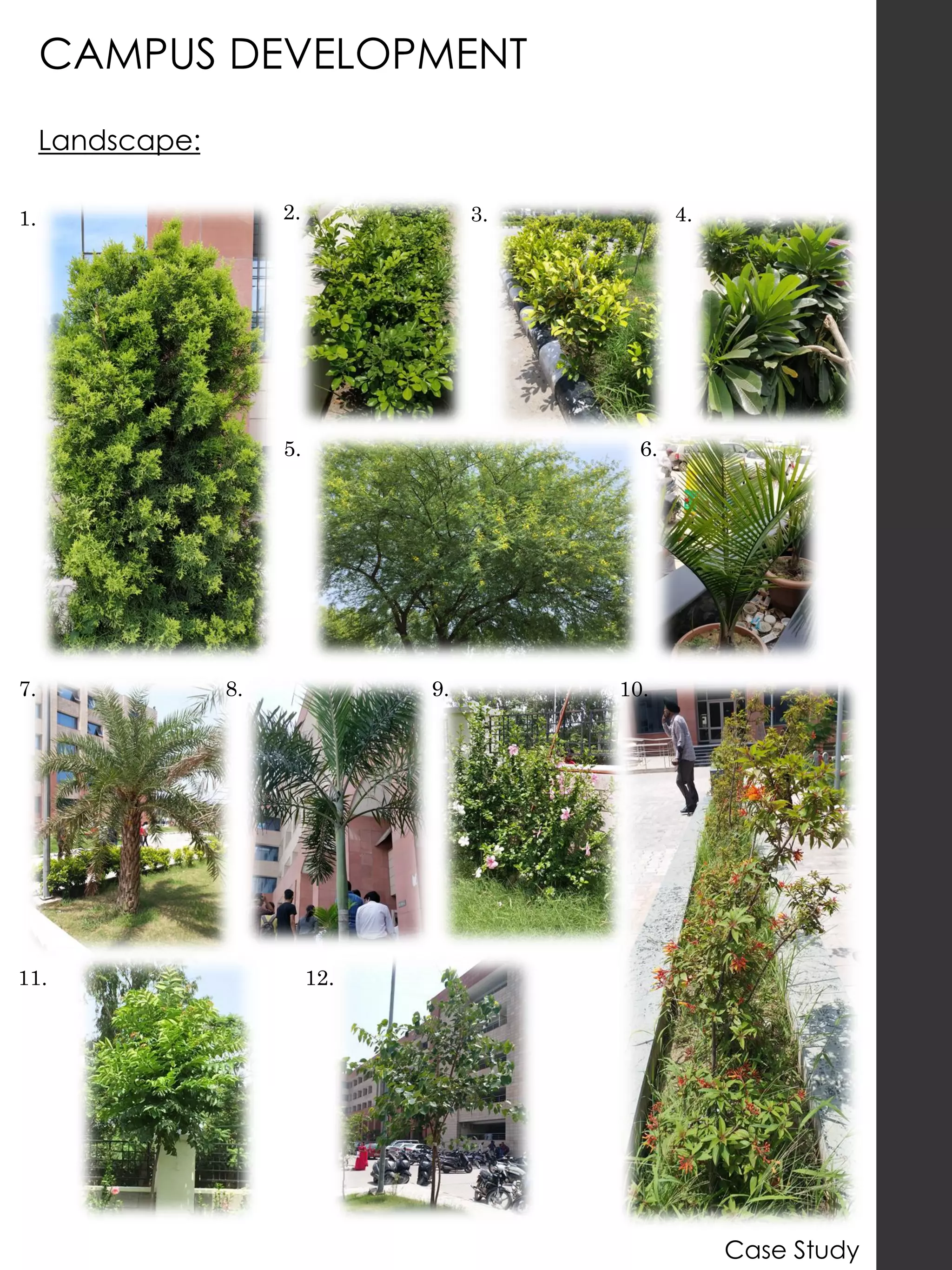 CASE STUDY - District Administrative & Judicial Court Complex, Sector ...