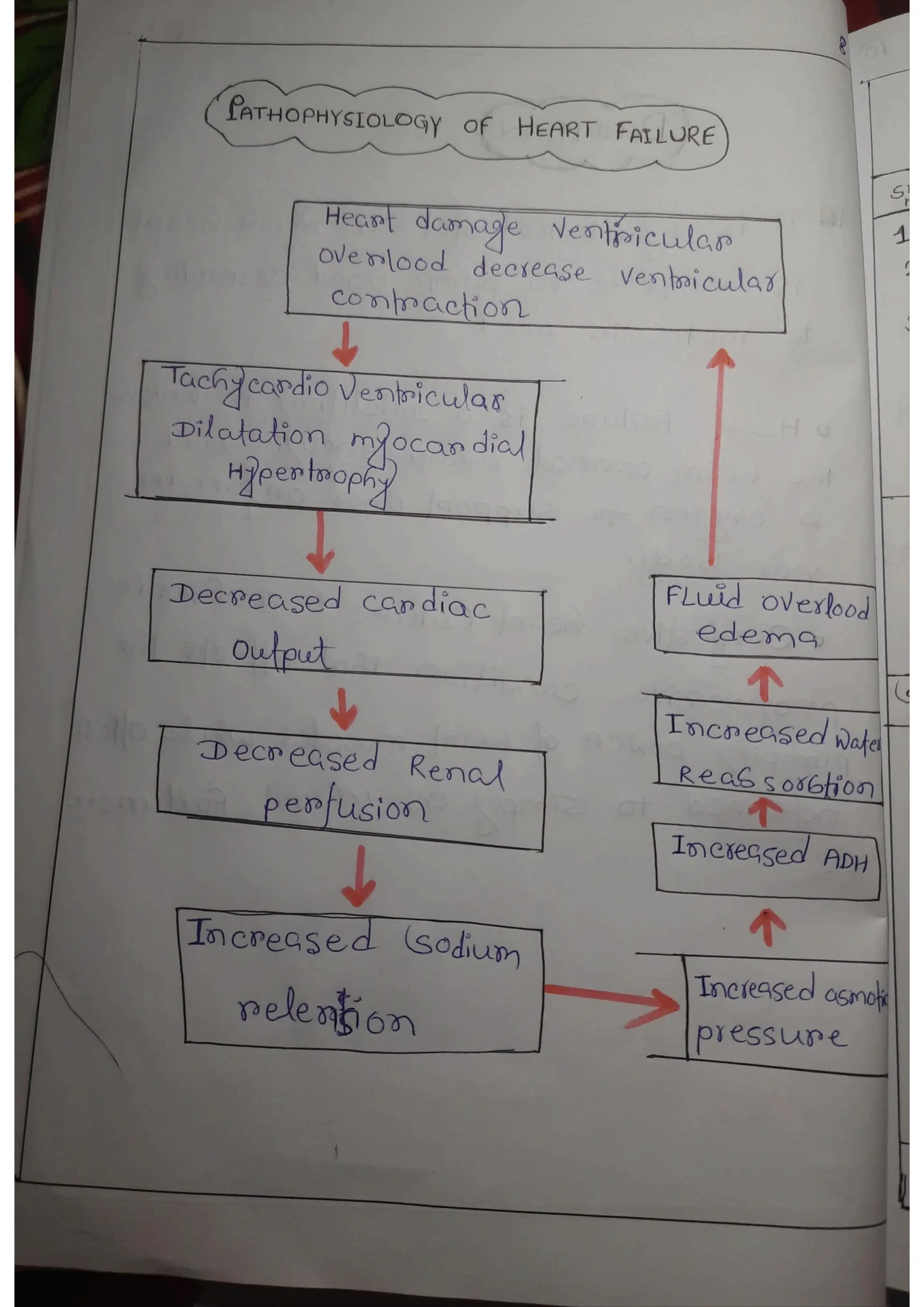 CASE STUDY:- HEART FAILURE | PDF