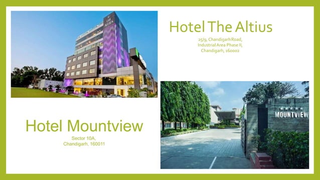 Case study - Hotel The Altius & Hotel Mountview | PPTX