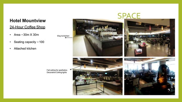 Case study - Hotel The Altius & Hotel Mountview | PPTX