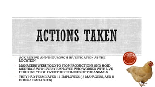 Case Study Of "Undercover Video captures Chicken Abuse" | PPT