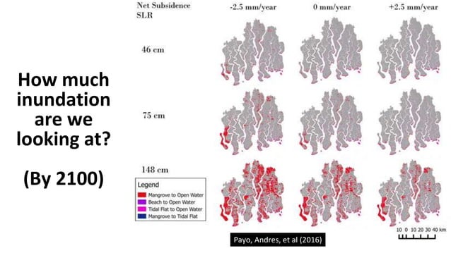 Environmental Studies EVS Case Study 1.pptx