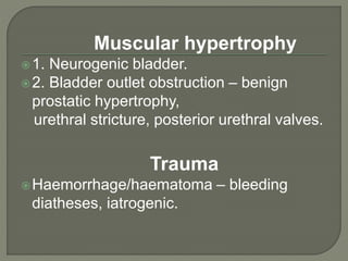 Urinary Bladder Mass | PPTX